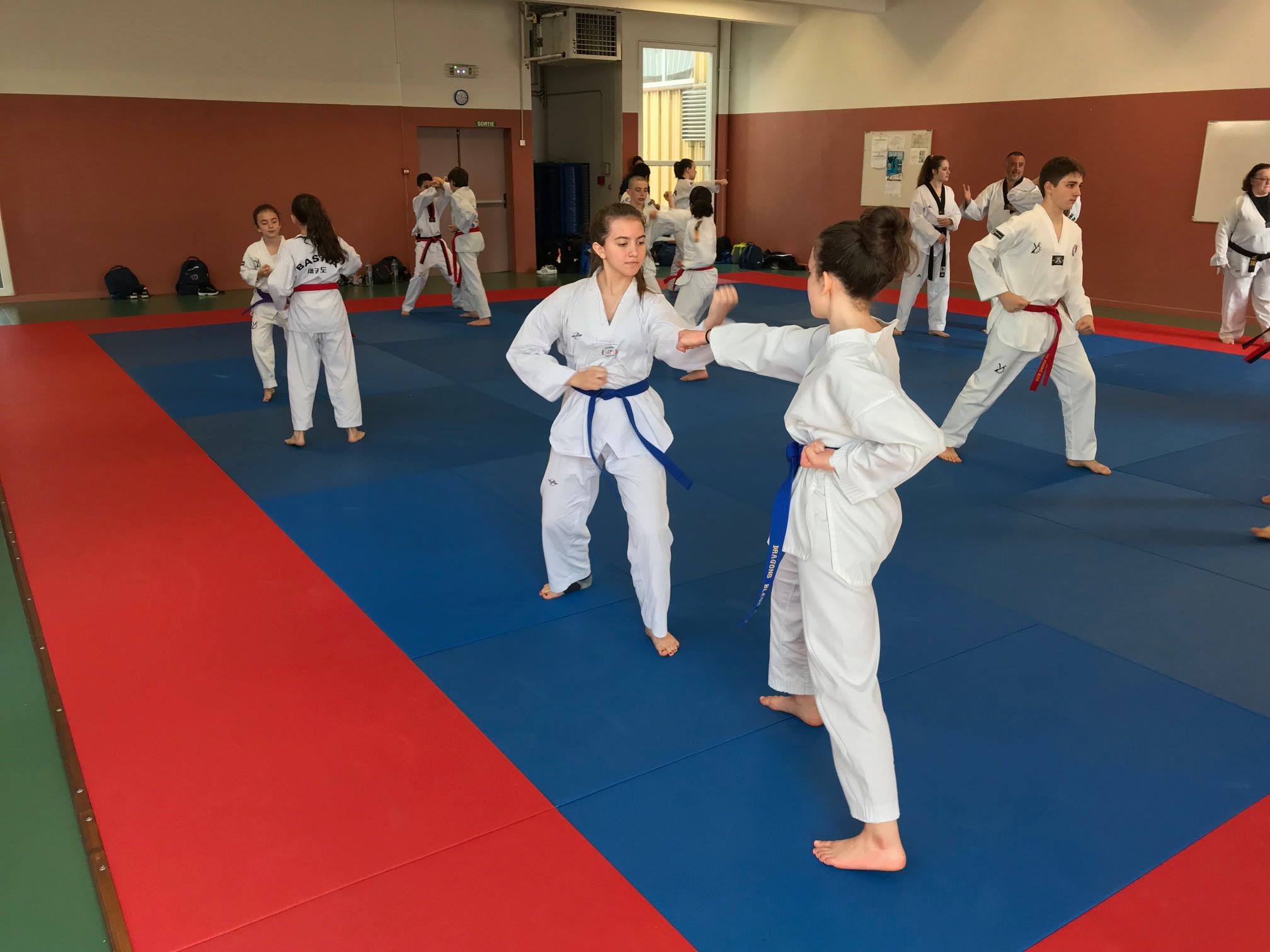 20/04/2019 - PASSAGE DE GRADE BLANC (NOUVEAU SYSTÈME FFTDA) - CENTRE TAEKWONDO BASTIA